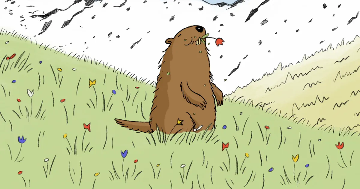 Franz - Der Junge, der ein Murmeltier sein wollte | TrickStudio ...